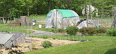 Grow Heat Loving Plants - Maine Organic Farmers and Gardeners