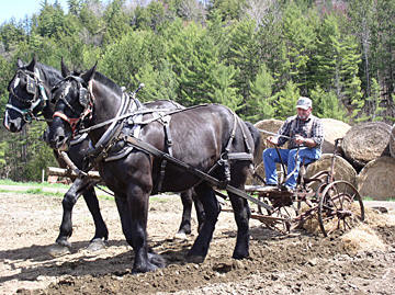 Kingdom Farmer - Maine Organic Farmers and Gardeners