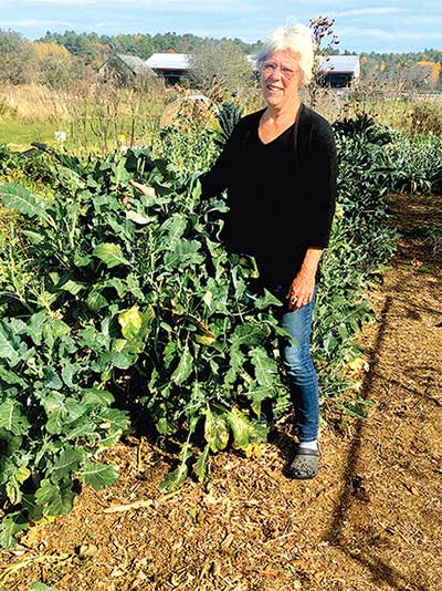 Broccolini what's in a name - Maine Organic Farmers and Gardeners
