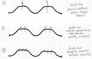 Ridge Tillage at Hackmatack Farm - Maine Organic Farmers and Gardeners