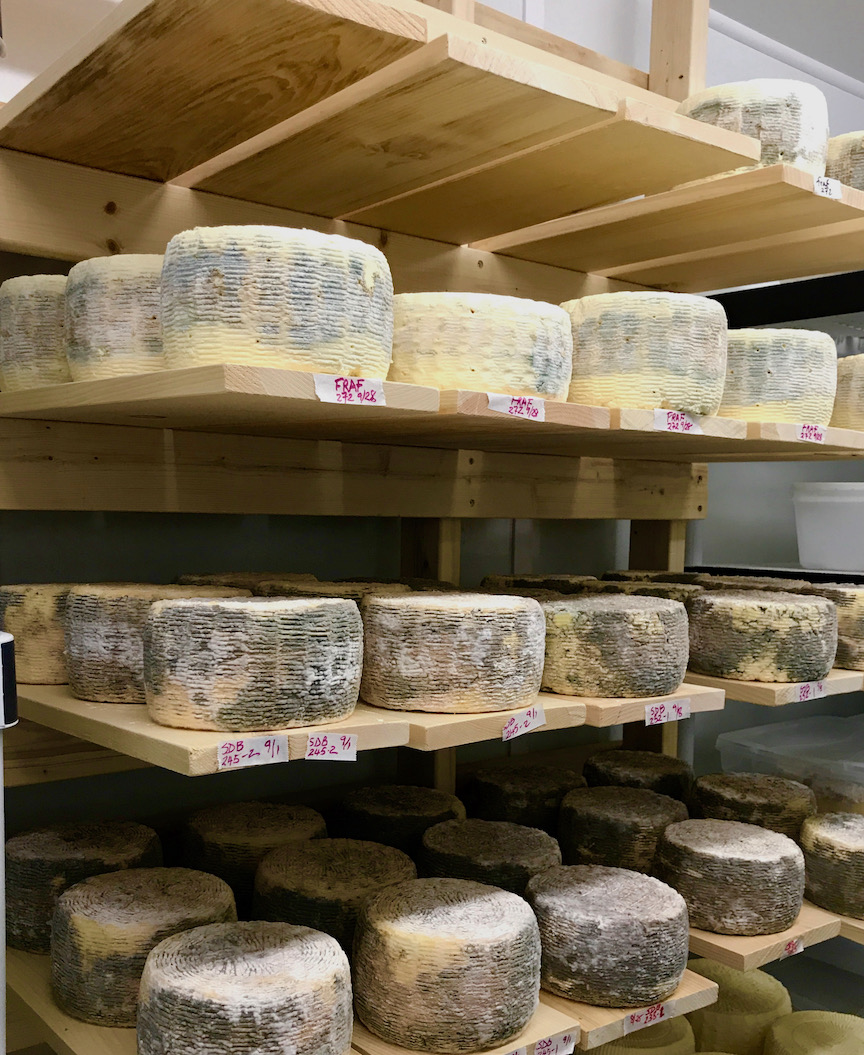 Maine Milk Mavens Model Creative Approach to Local Cheese Distribution ...