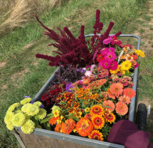 Creating a Multi-Family Farm at 3 Level Farm - Maine Organic Farmers ...