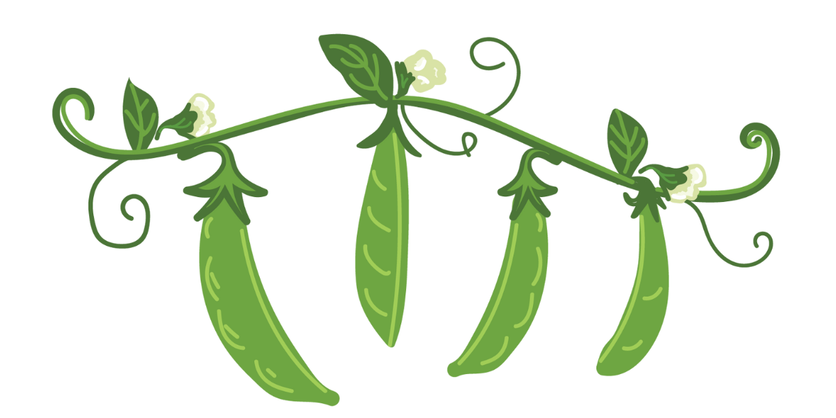 Maine Organic Farmers and Gardeners Association