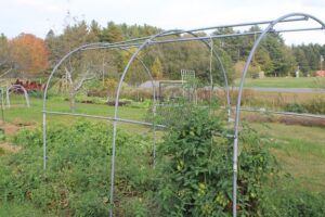 DIY Hoop Structures to Extend the Season - Maine Organic Farmers and ...