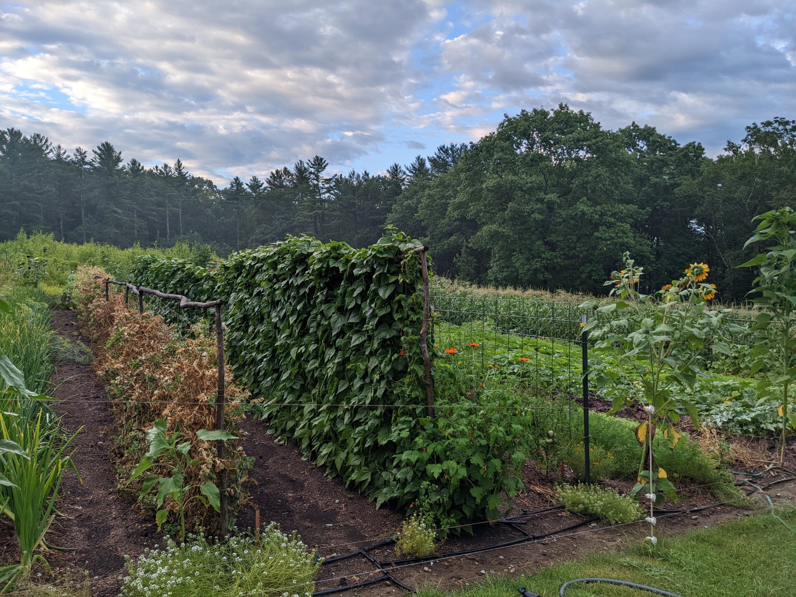 Gather & Grow Tour Series | Maine Organic Farmers and Gardeners