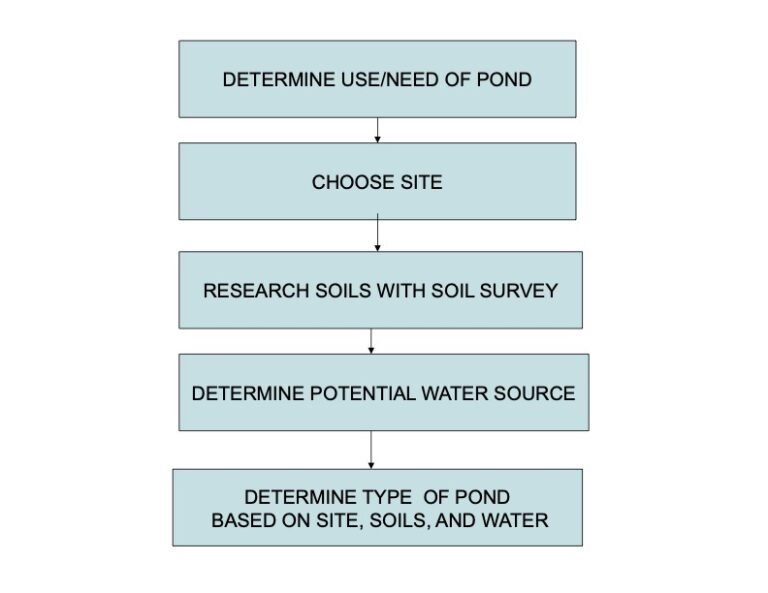 What Do You Need to Consider for a Good Pond? - Maine Organic Farmers ...